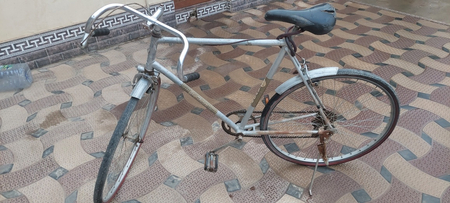Belasepet konchilar sotiladi