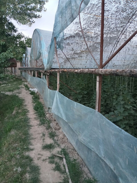 Tepletsiya sotiladi