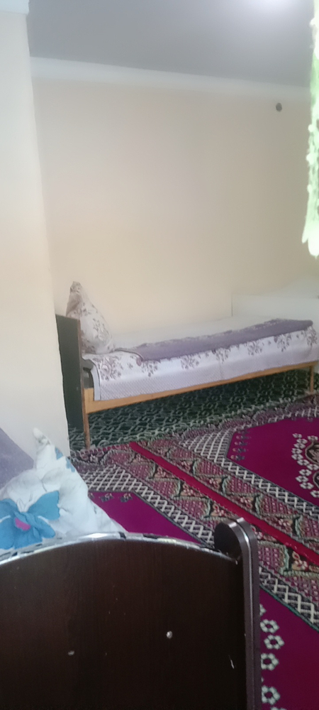 Dacha bor xumsonda