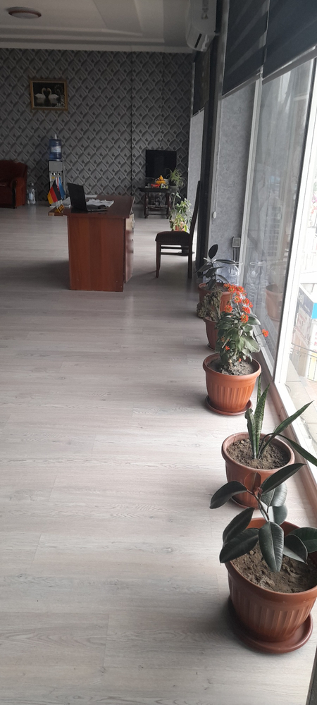 HOSTEL markazda joylashgan