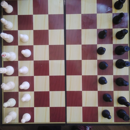 Лото, шашки, шахматы, домино, игра 15
