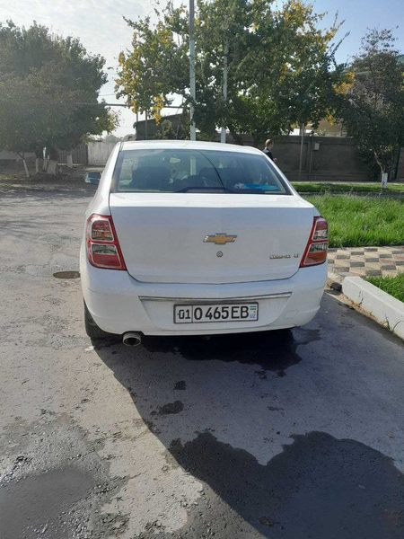 Коболть сотилади