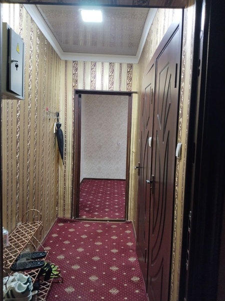 Саламатина Южный мост