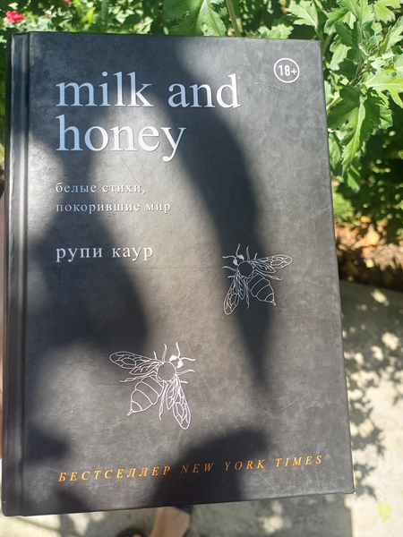 Milk and Honey белые стихи покорившие мир