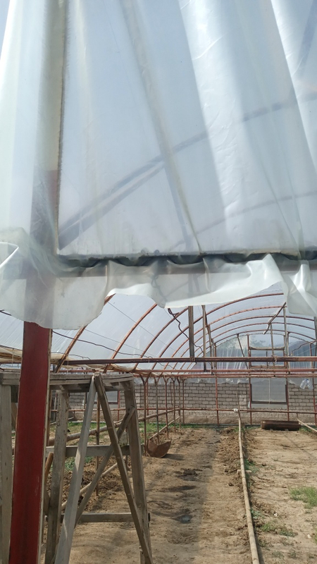 Issiq xona 3 sotix