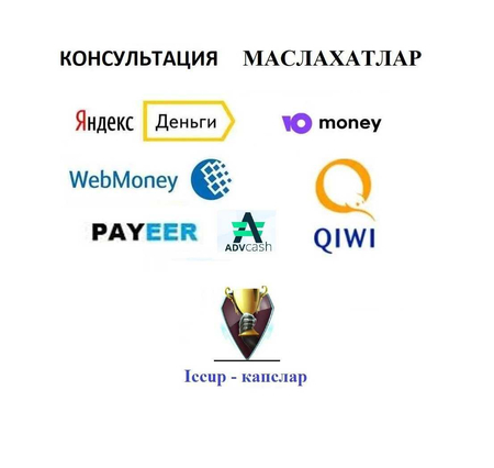 Профессионал маслахатлар Webmoney, Консультация по оплаты и переводам
