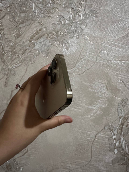 Iphone 14 pro max 256 gb gold