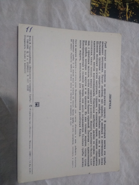 Коллекционный  комплект открыток ГРИБЫ 1980 г