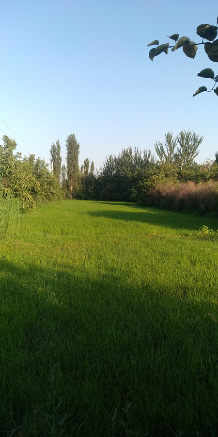 Yer sotiladi 30 sotik