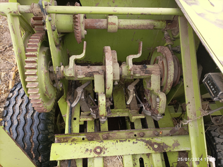 Cllas markand 55