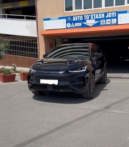 BYD Tang dual motor