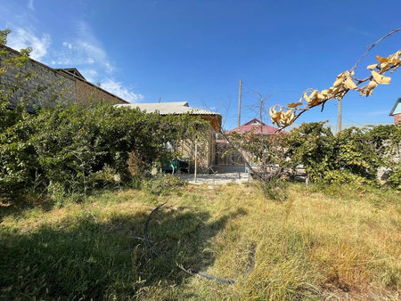 Dacha OAZIS Sayoxat 23