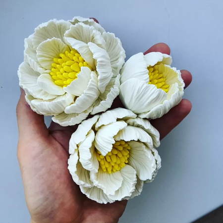 Master model Мастер модельлар