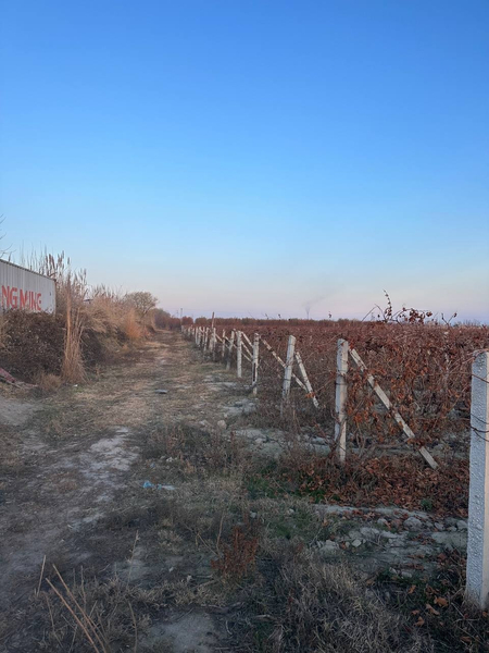 Bog\\\' ijaraga beriladi