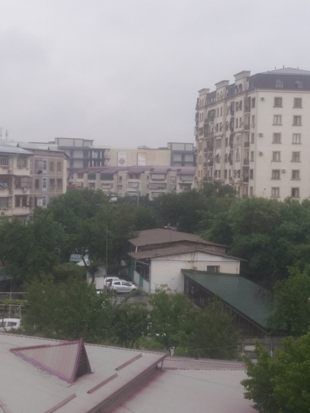 Ibin sino 1 da dom sotiladi