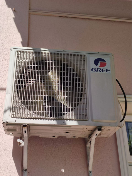 Konditsioner Gree 24