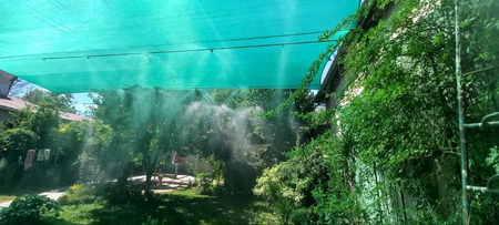 Mikroklimat va setka