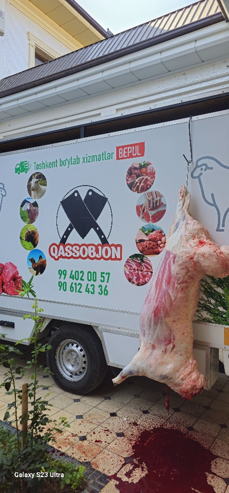 Кассоб qassob хизмати куй кучкорлар бор