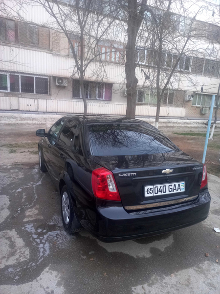 2016 qora jentira