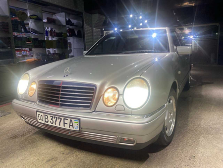Mercedes Benz Avangarde