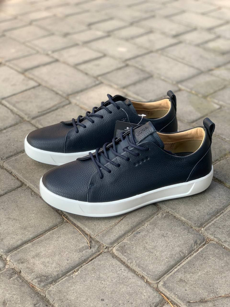Ecco national koja