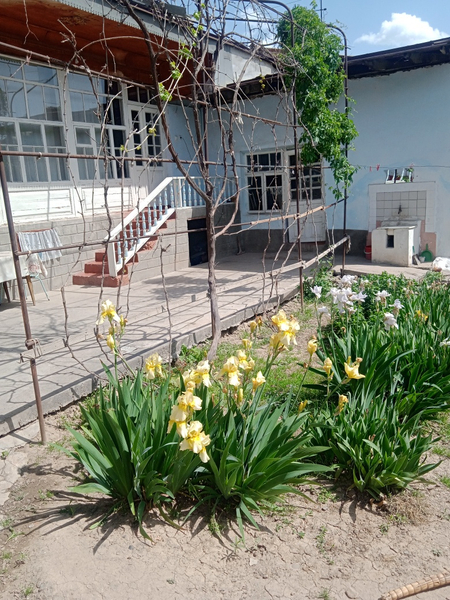 Продается дом 6 соток