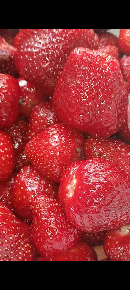 Kompot, murabbo, salyonniy bodring pamidor, sharbatlar yopib beramiz