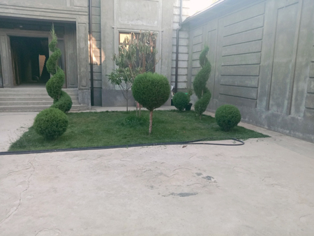 Archa qirqamiz ,  dorilash , lanshaft  , va boshqa xizmatlar bor .