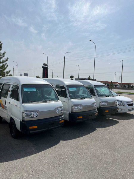 Damas bolib tolashga yillik 12% qberamiz