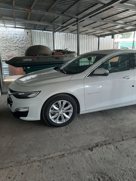 Chevrolet Malibu 1.5 (2019 - Ноябрь) Белый жемчуг