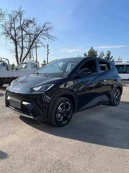 BYD Seagull Arenda s vikupom 2024 yil