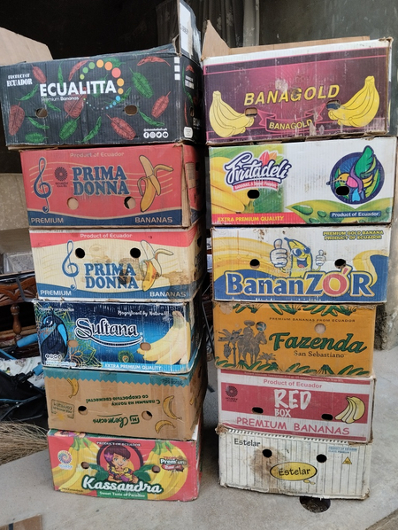 Banan karopkalar