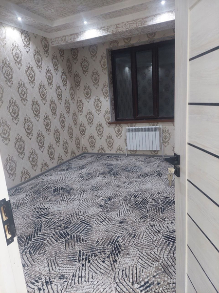 Аренда Стар Хавус 1×2 ком.