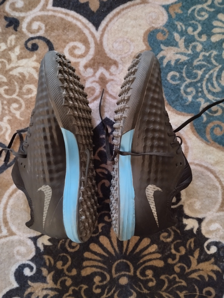 Magista sorokonoshka