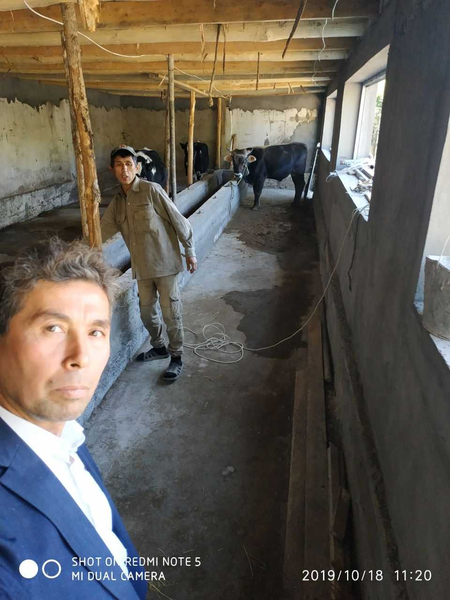 ДАЧА Чирчик   скидк 50% с ваучер Семейн ,Пруд,Фудбол поля Тенис Билярд