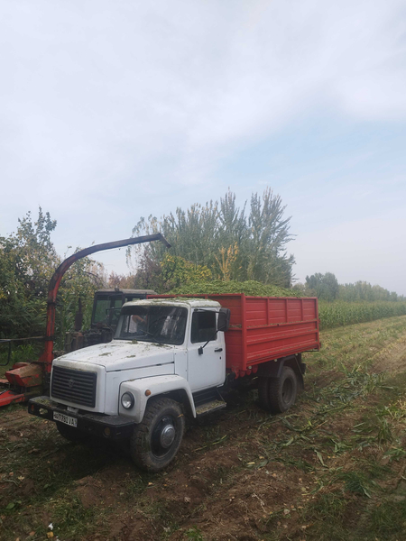 Gaz 33 07 yili 2004