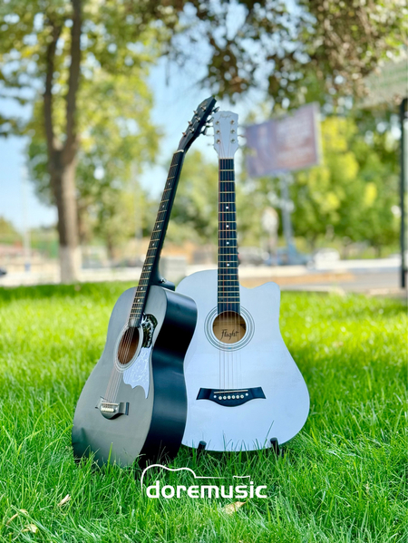 Akustik Gitara SKIDKADA