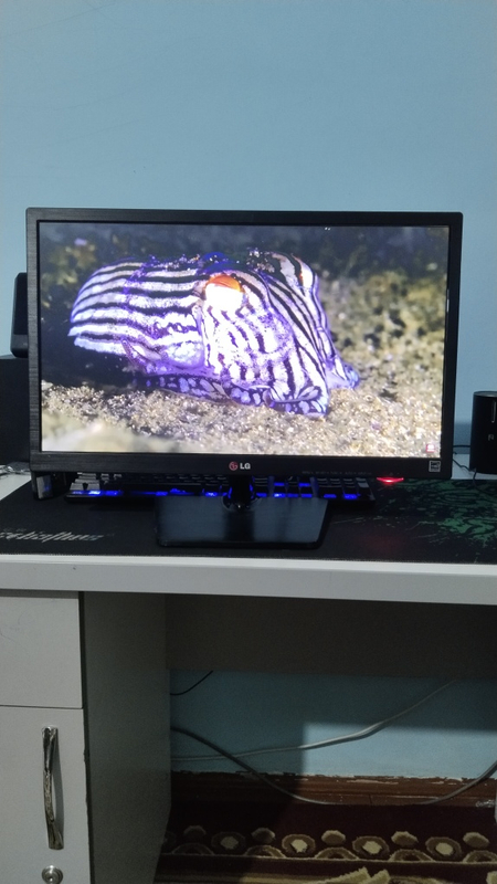 ZEUS manitor 19 holati ideal 1440x900 Vga