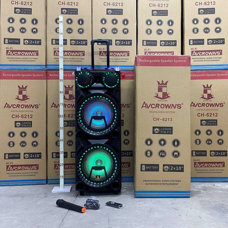 Kalonka Subwoofer Avcrowns CH6213 / караоке  150W[БЕСПЛАТНАЯ ДОСТАВКА]