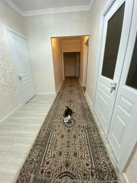 Sergili tumani Masskv Qoyliq 5 4/4/5