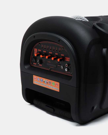 Kalonka AO-1201  20W (55sm) Портативный уличный динамик