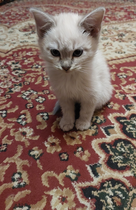Синие глаза 2 месяц девочка
