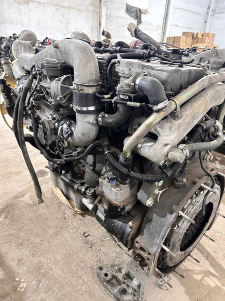 Gazli Sitrak 430