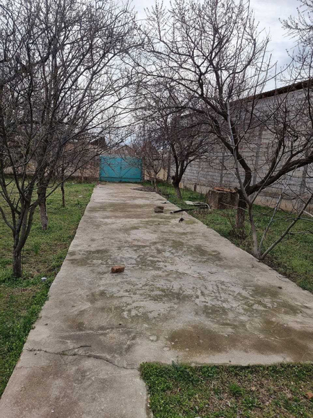 Дача в Бустонлике