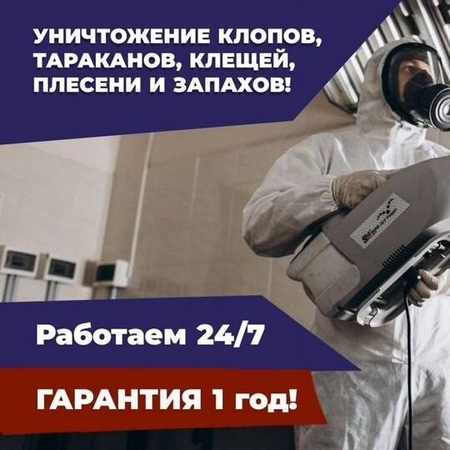 Профессор по клопам 100% | Дезинфекция дезинсекция dezinfeksiya