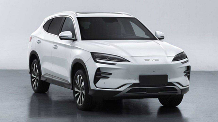 Byd song champion 2023