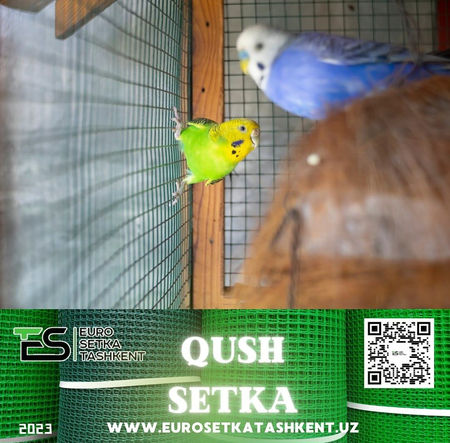 Qushlar uchun qush setka rulon setka yevrozabor evrozabor evro zabor