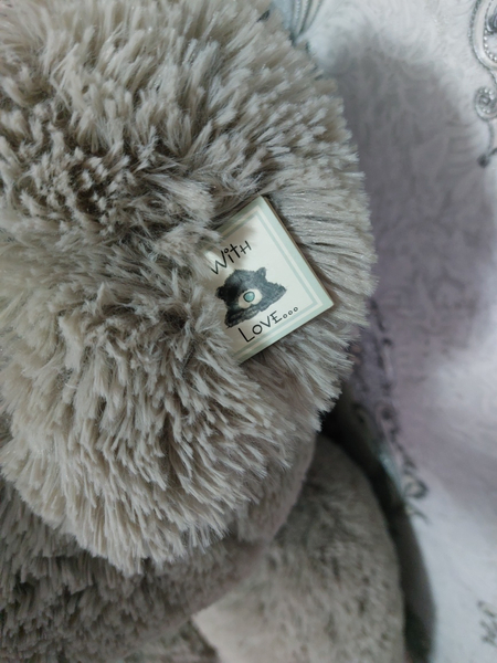 Teddy ayiq sotiladi