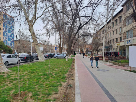 Ц-13  Лабзак  1- Линия 3/1/4  под Коммерцию. (ARG)