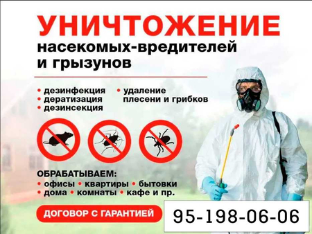 Dezenfeksiya Дезинфекция dezinfeksiya клоп klapa tarakan таракан 100%